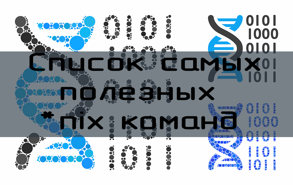 11 основных *nix команд, который ты обязательно должен знать